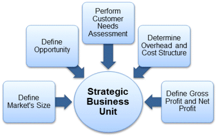 Strategic Business Unit - CIO Wiki