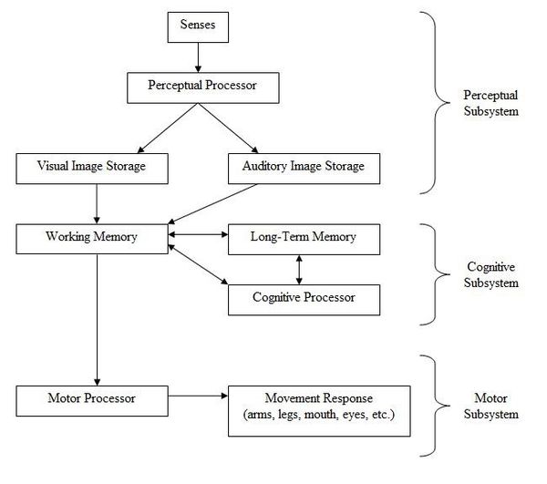 Model Human Processor (MHP) - CIO Wiki
