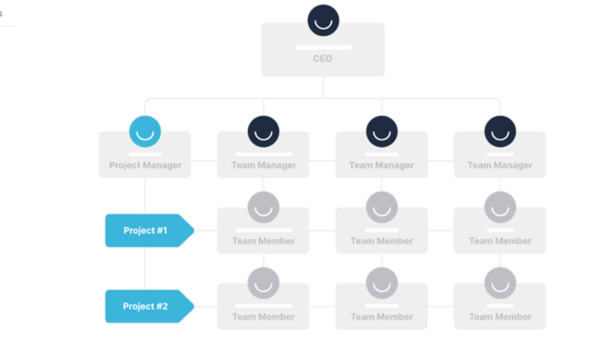 Organizational Structure - CIO Wiki