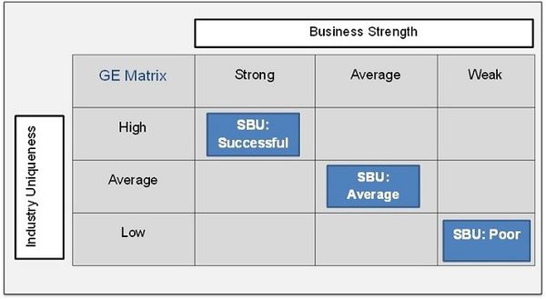 Strategic Business Unit - CIO Wiki