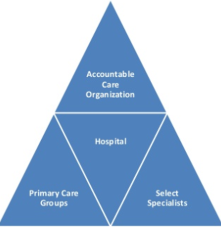Accountable Care Organization (ACO) - CIO Wiki
